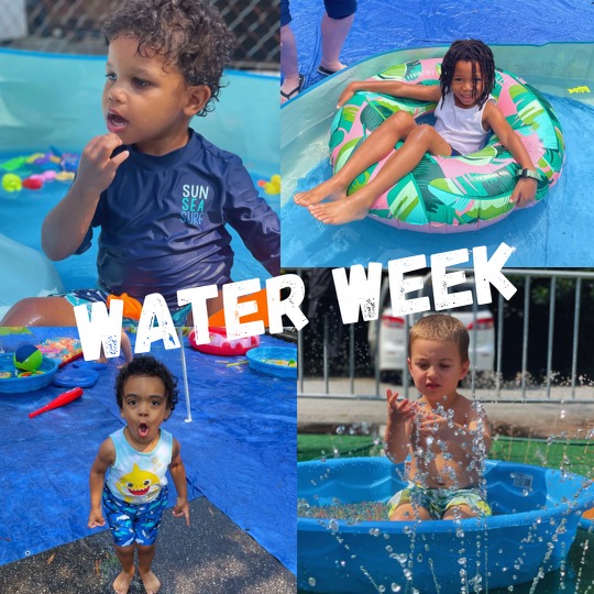 Gallery View – Interact Peds