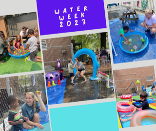 Gallery View – Interact Peds